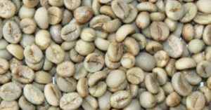 Kopi Robusta Dan Ciri-Cirinya | KitaCerdas.com