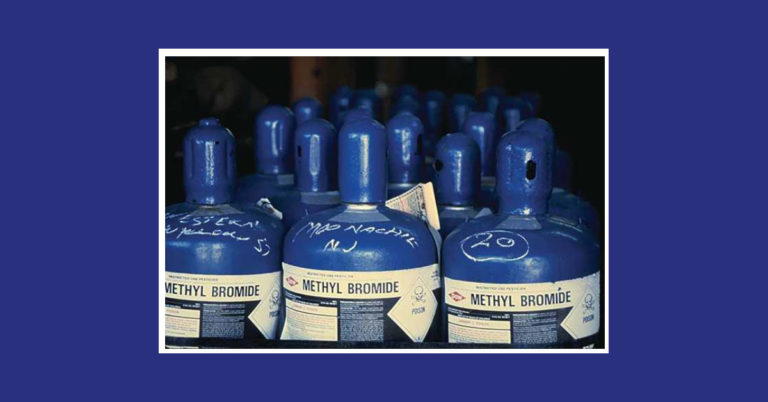 Ragam Insektisida dan Manfaatnya Dalam Dunia Pertanian - KitaCerdas.com